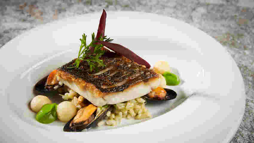 The Non-Alcoholic Cocktail Guide | Payne & Gunter